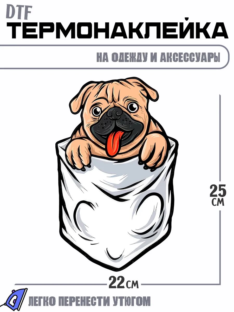 Термонаклейка Мопс в кармане