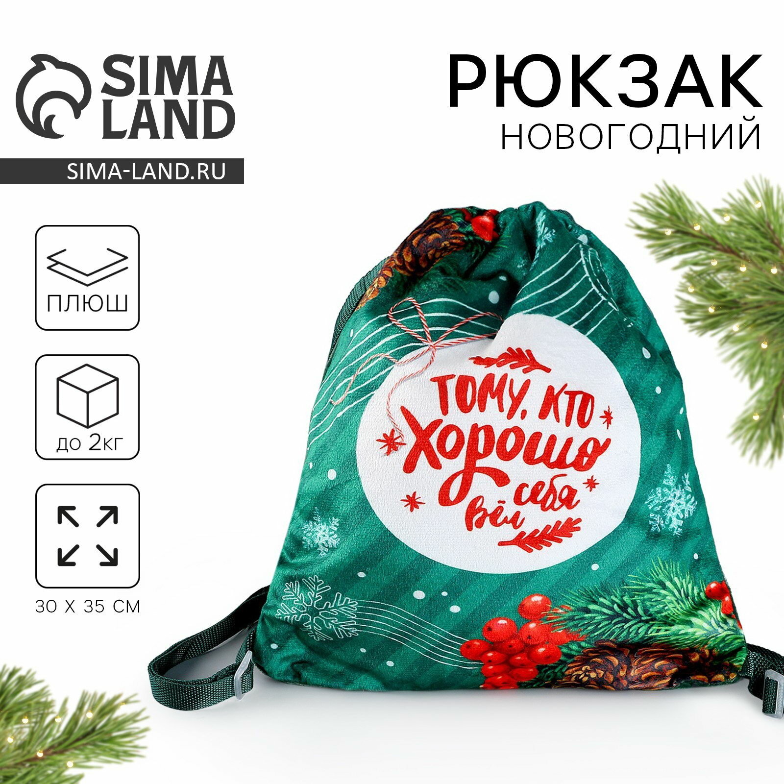 Рюкзак - мешок детский новогодний "Тому, кто хорошо себя вёл", 35x30 см