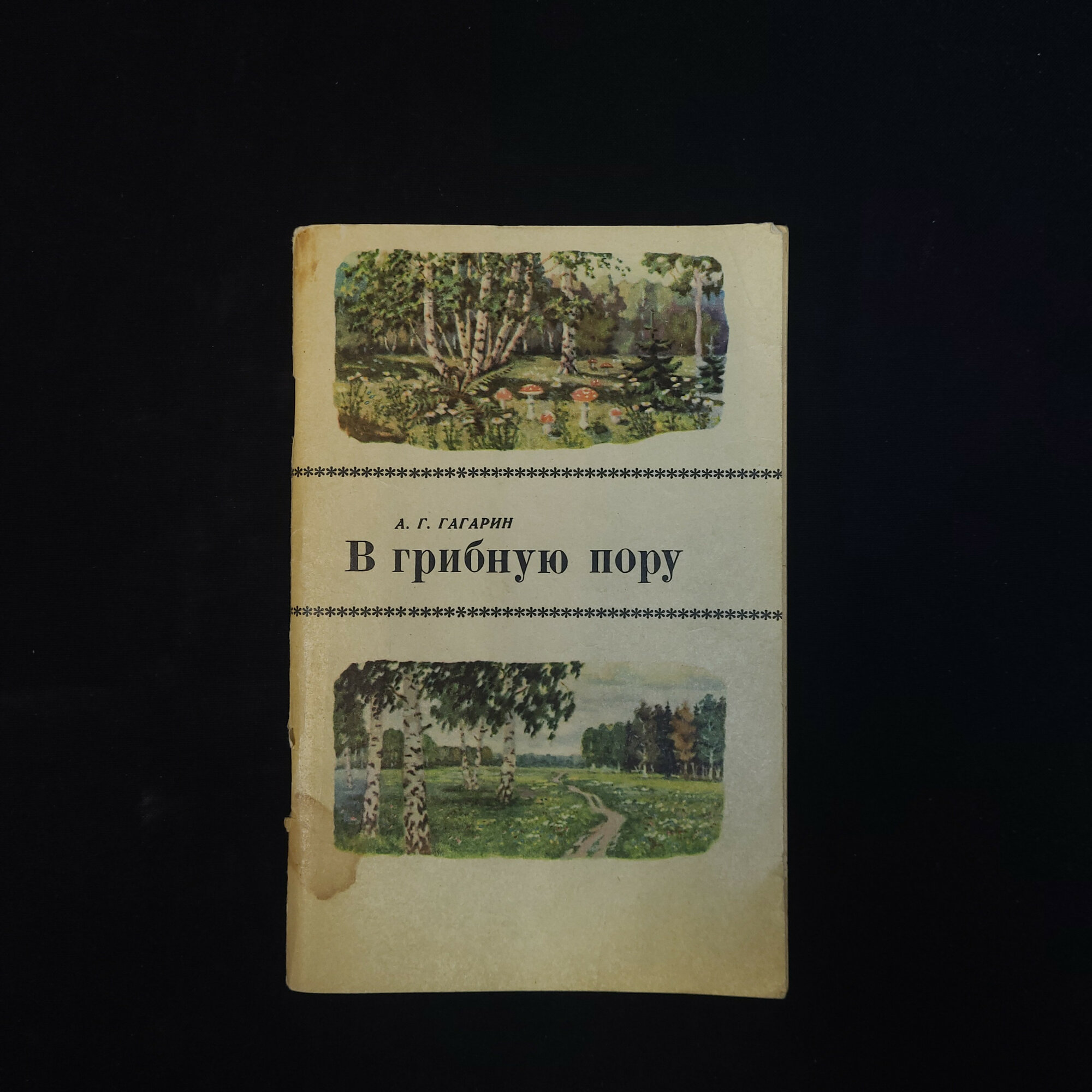 Книга винтажная, СССР. В грибную пору, А. Г. Гагарин, Приокское издательство