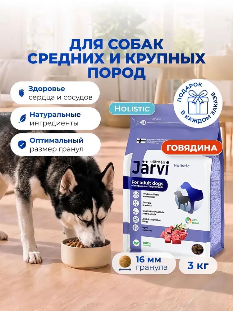 Сухой корм Jarvi полнорационный для взрослых собак средних и крупных пород с говядиной, 3 кг