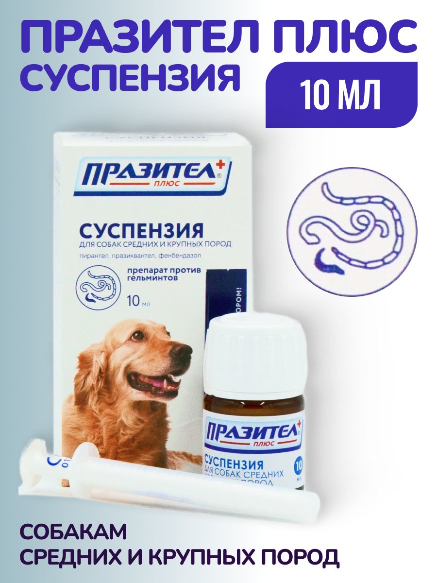 Празител Плюс суспензия собакам средних и крупных пород 10мл