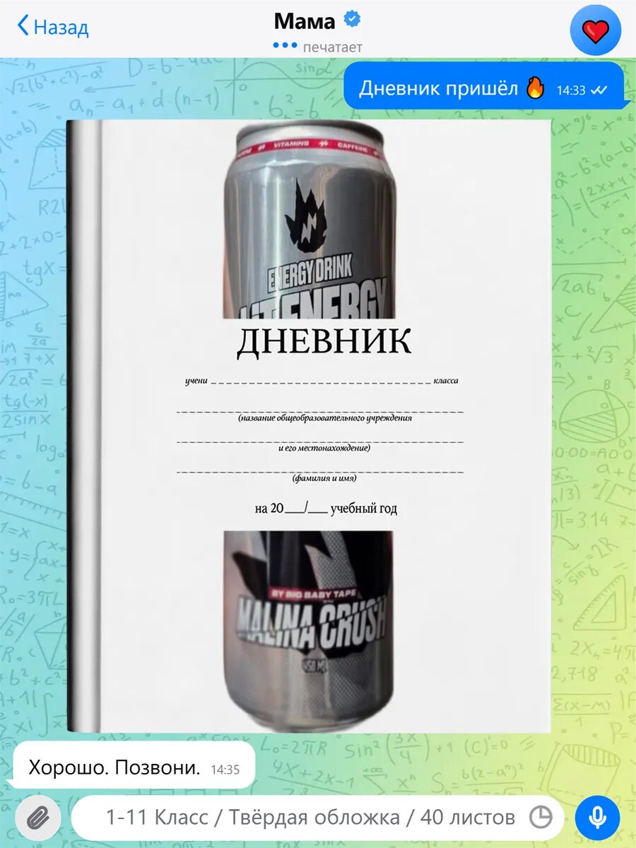 Школьный дневник с принтом Роблокс