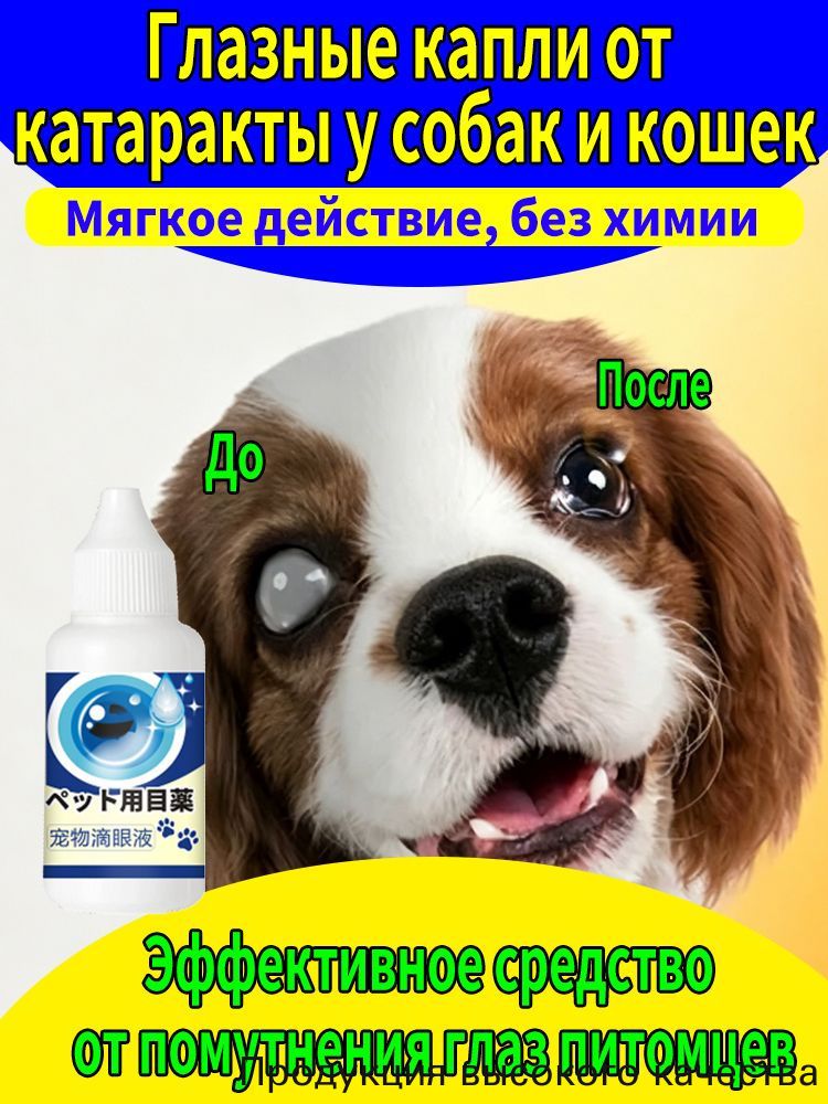 Глазные капли при катаракте у собак и кошек