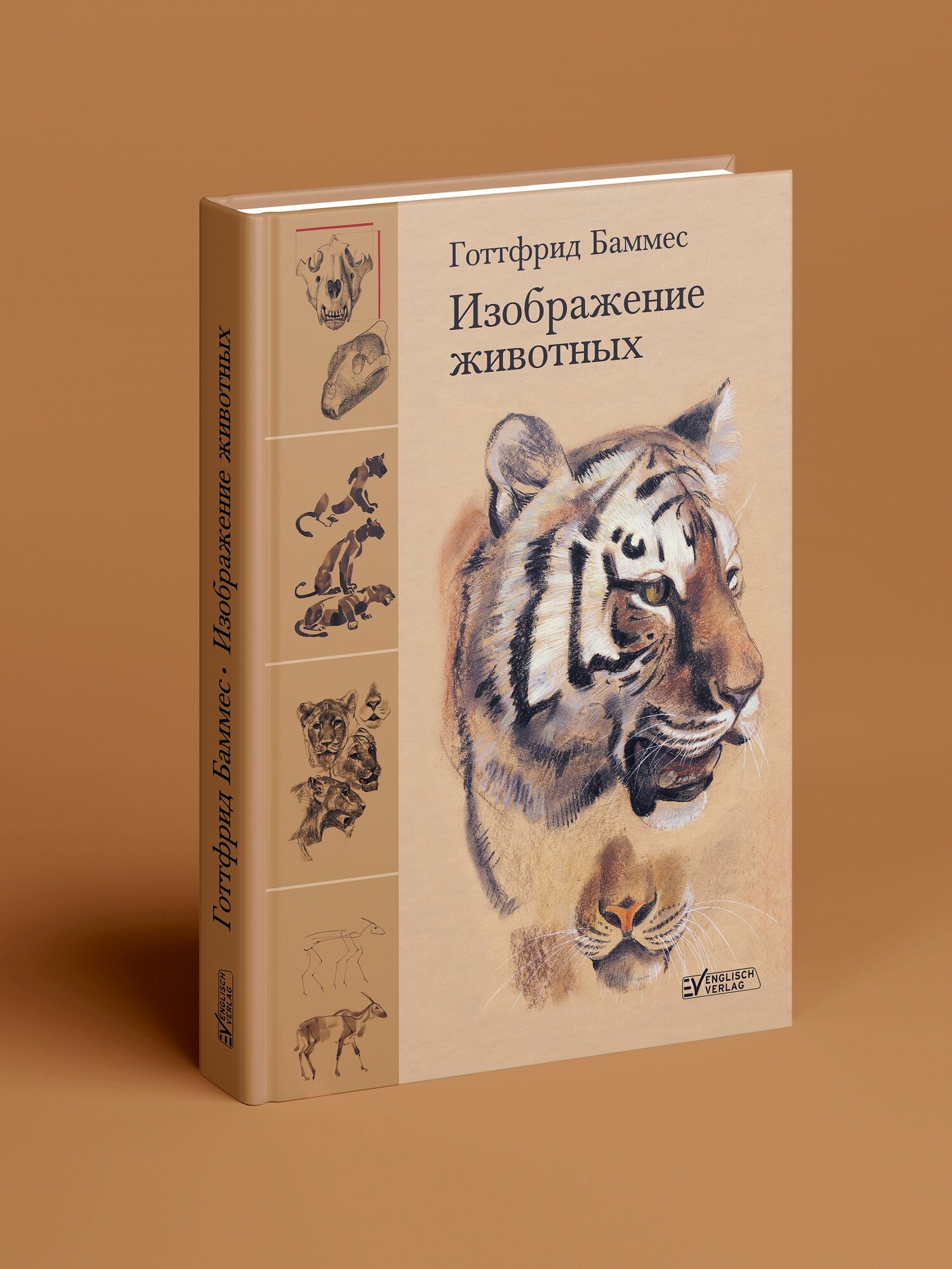 Учебное пособие, книга для художников и дизайнеров, "Изображение животных"