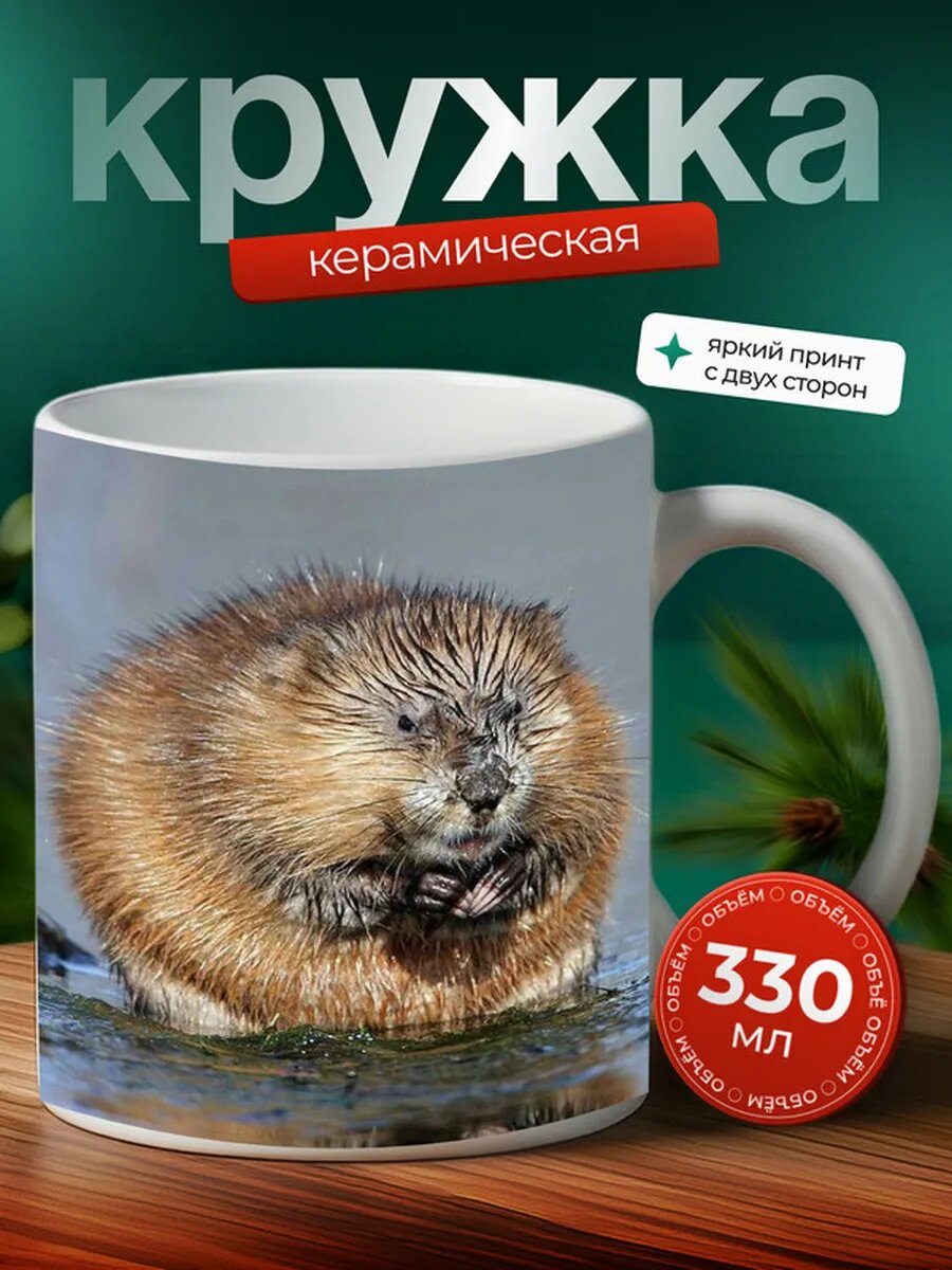 Кружка Бобр животное 5,