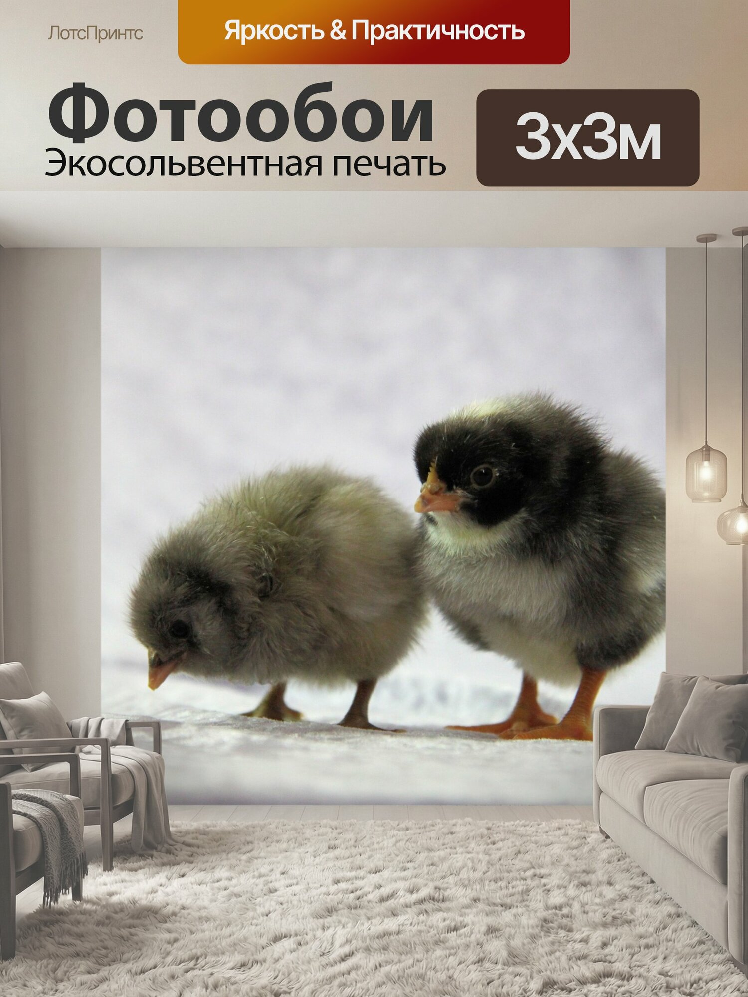 Фотообои "Симпатичные пушистые Chicks Новоиспеченный младенца цыплят курица куры цыплята цыпленок детские животные" 300x300 см. экосольвентная печать