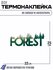 Термонаклейка forest лес