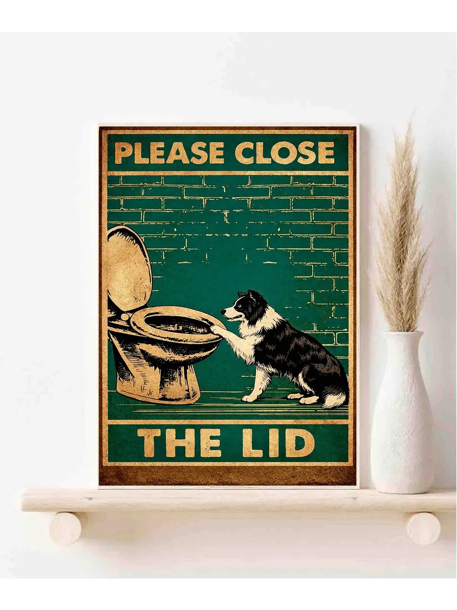 Бордер-колли, Close the Lid, Плакат 30x42см