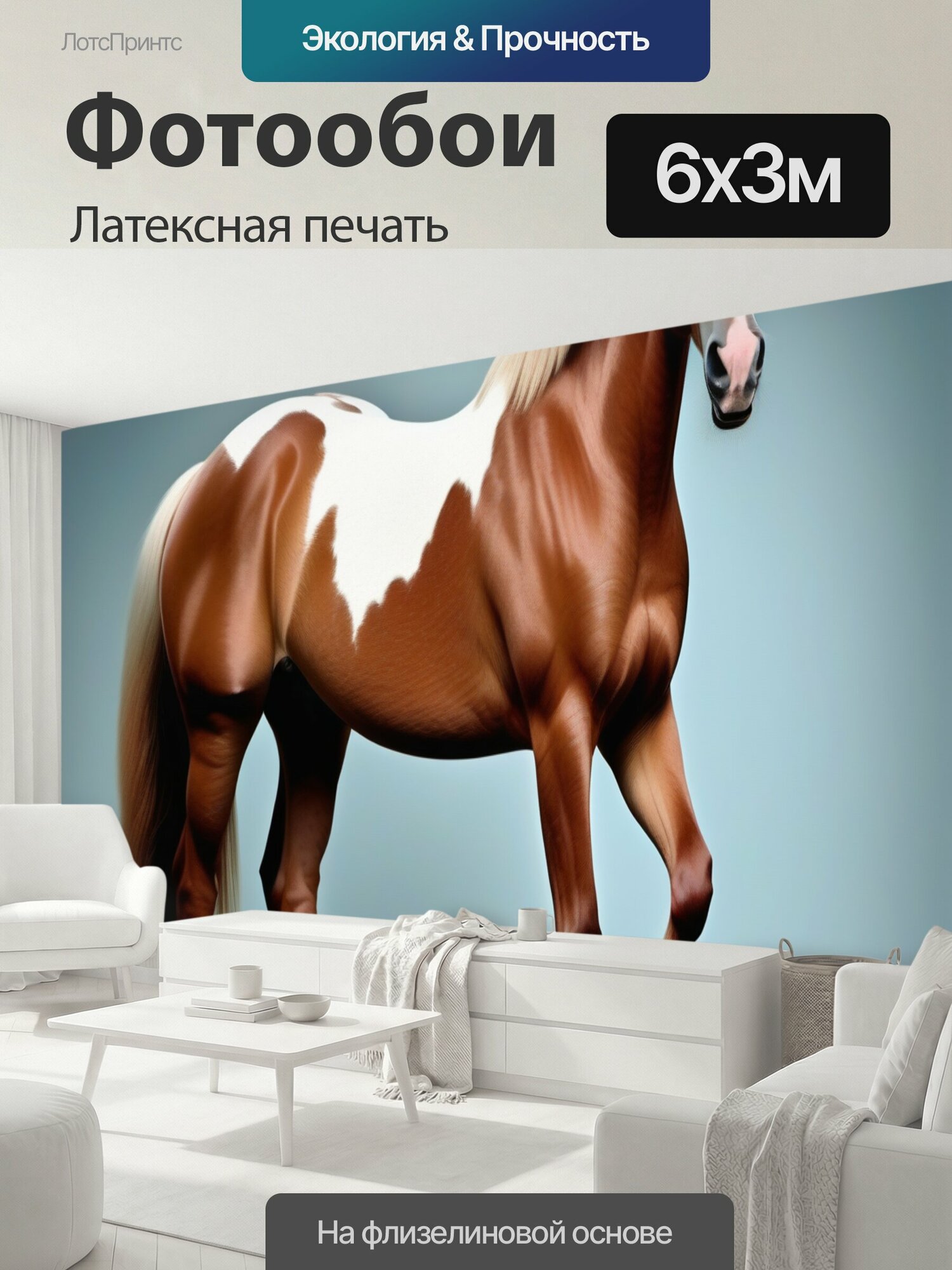 Фотообои моющиеся ударопрочные "Лошадь, скачки, пегий вороной животное" 600x300 см. латексная печать