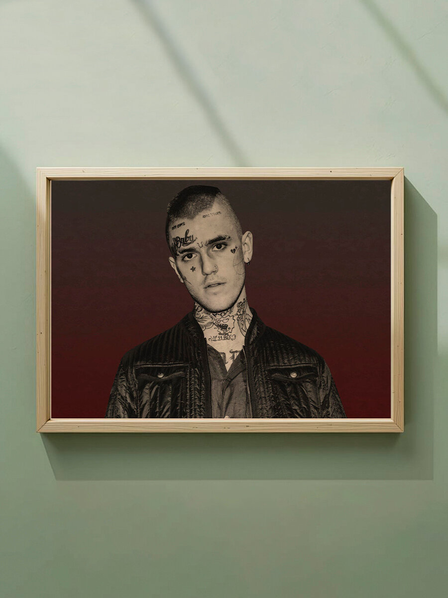 Постер, плакат на стену "Портрет с розовыми волосами: Lil Peep / Lil Peep" 42 см х 29,7 см (А3) Без Рамы