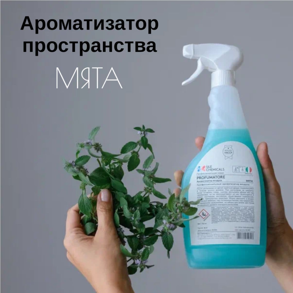 Profumatore профессиональный ароматизатор с ароматом Мята от Sile Chemicals