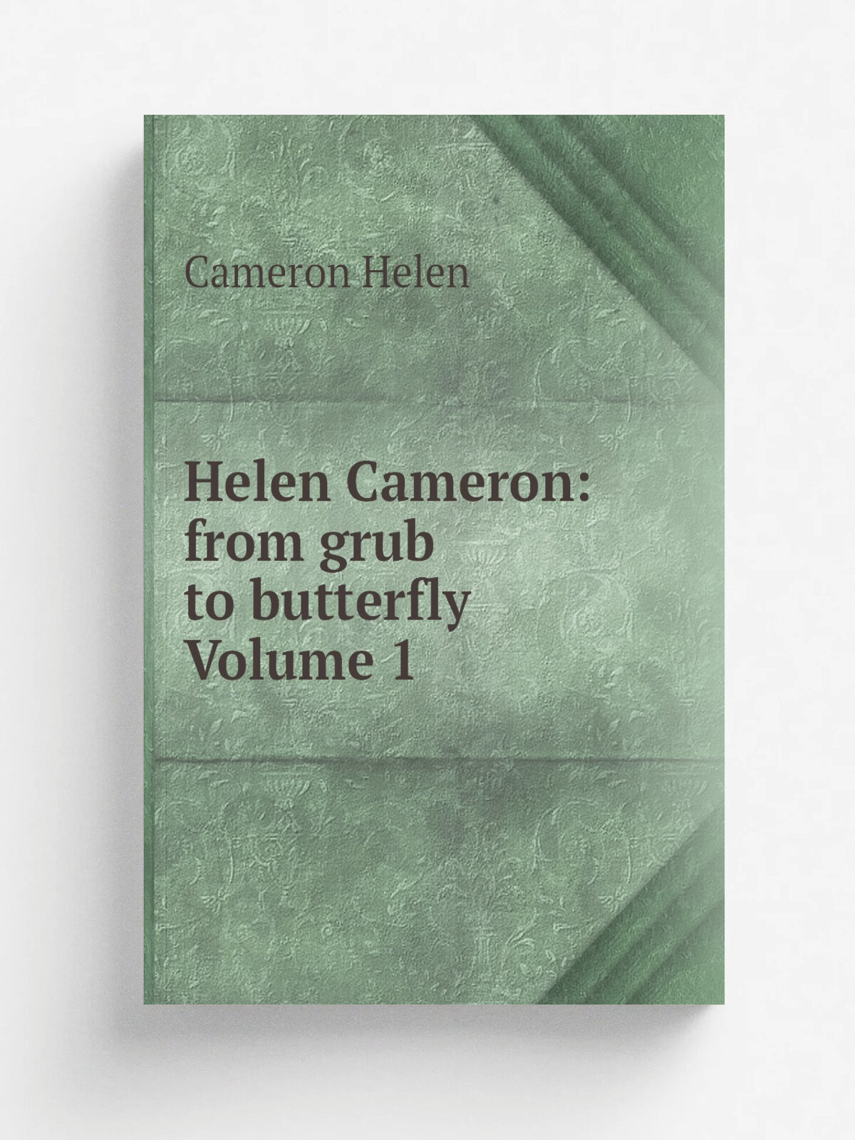 Helen Cameron: from grub to butterfly Volume 1