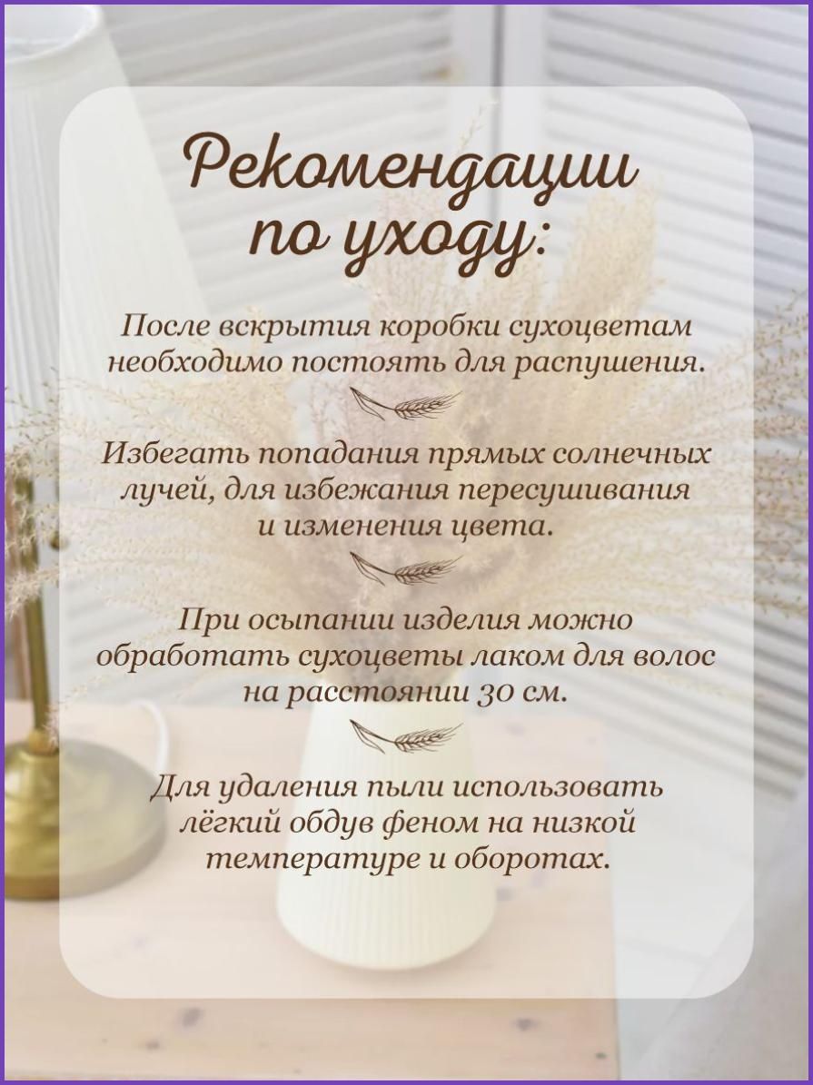 Сухоцветы Потос — фото 1
