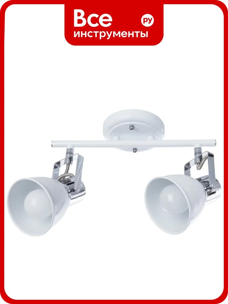 Потолочный светильник Arte Lamp A1677PL-2WH
