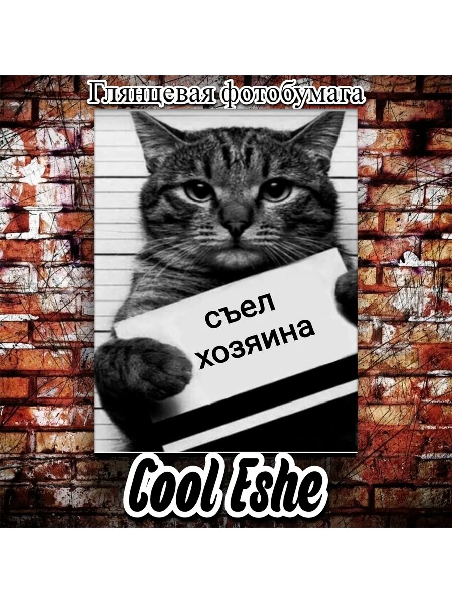 Постер "Кот в тюрьме, съел хозяина" А3