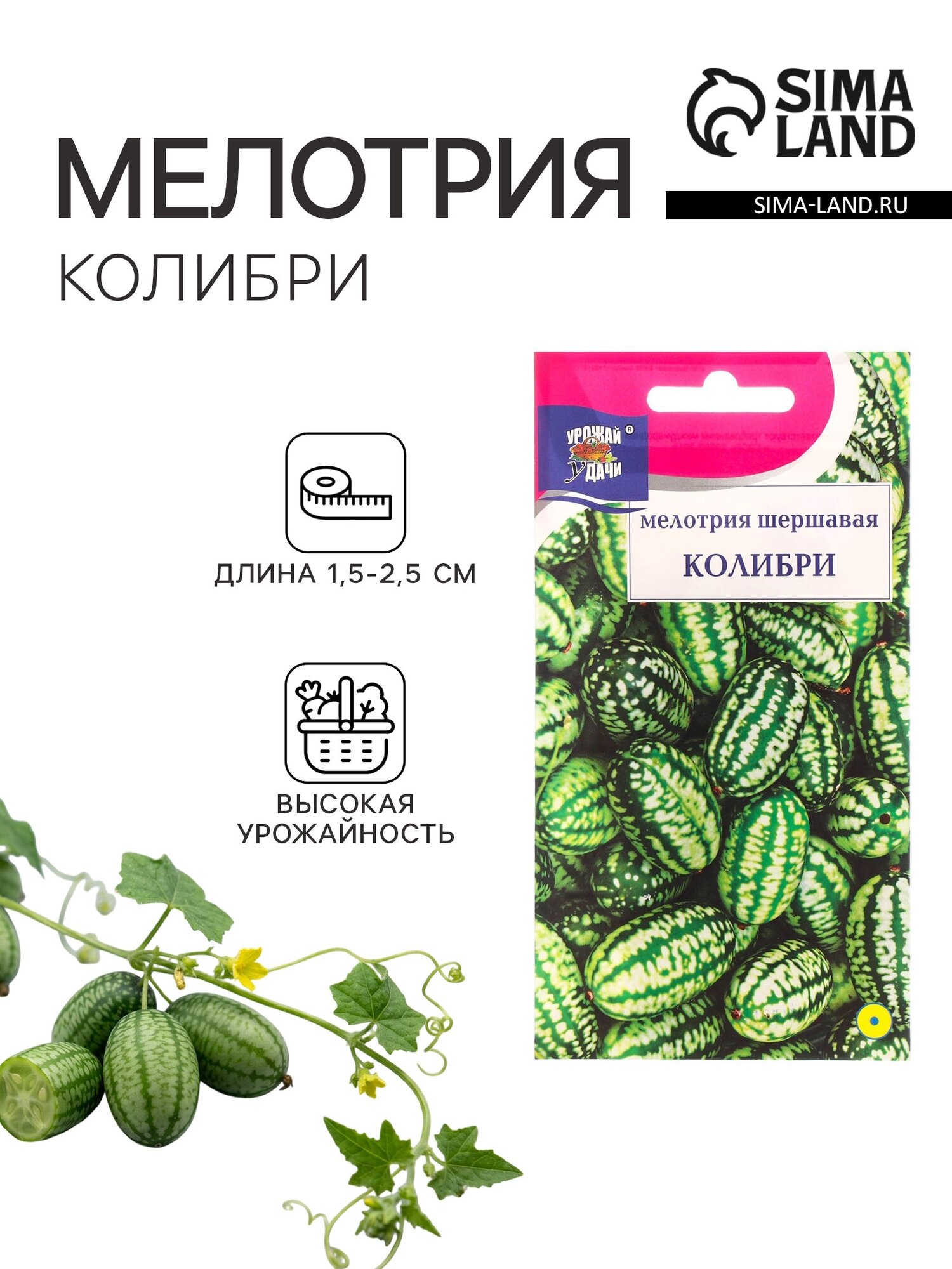 Семена Мелотрия шершавая «Колибри», 0.015 г, «Урожай удачи»