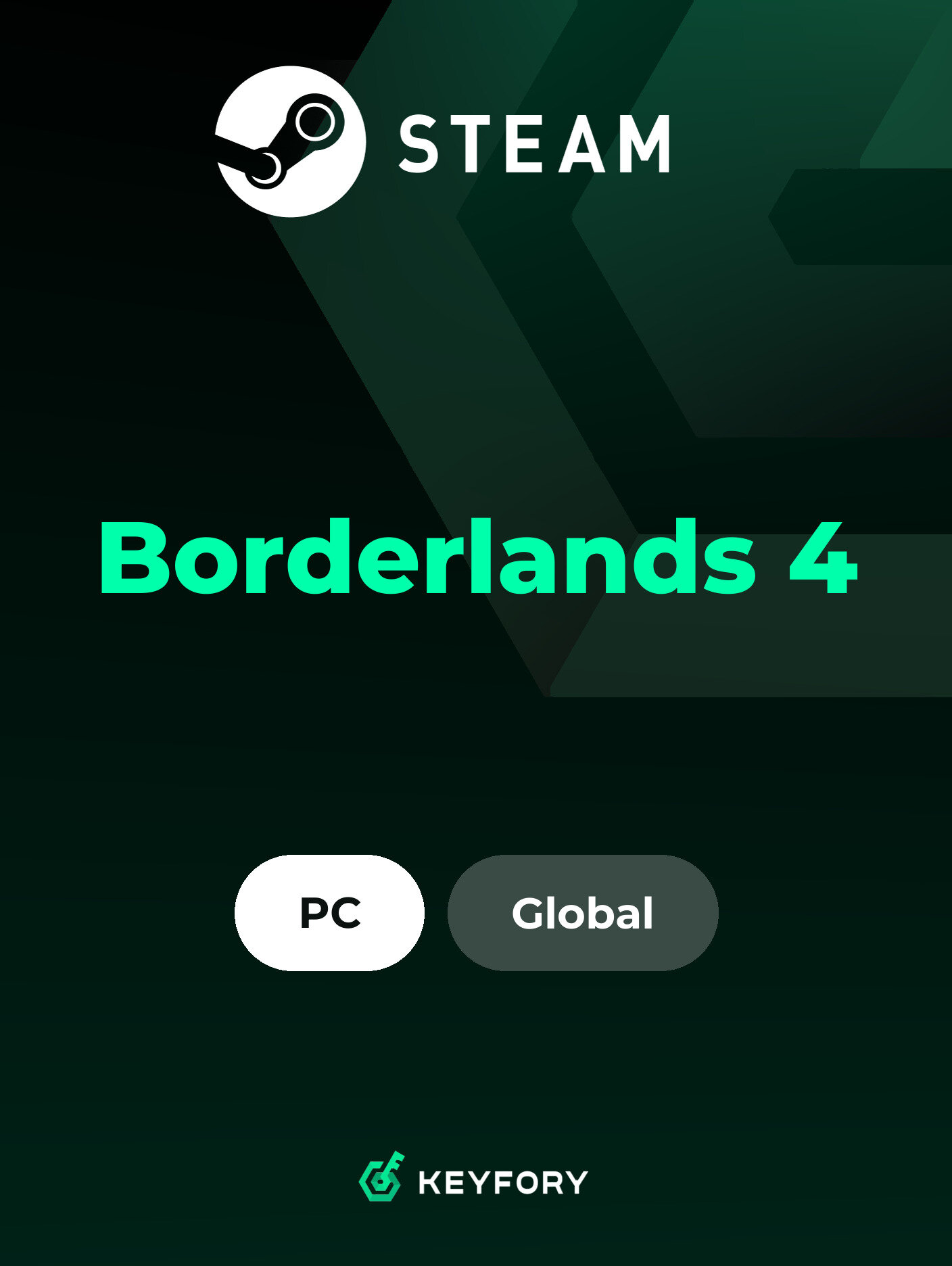 Borderlands 4, ключ Steam для ПК, русские субтитры, любой регион