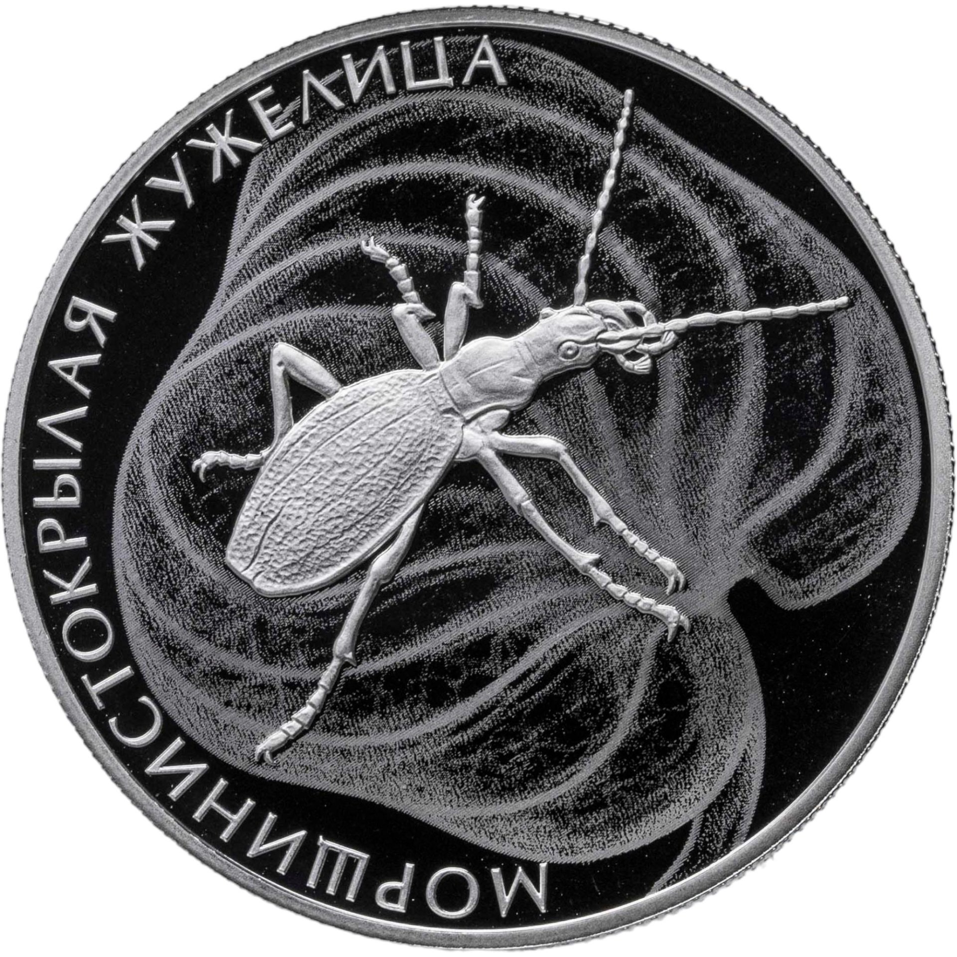 2 рубля 2024 СПМД "Морщинистокрылая жужелица", Серебро 925, в сохранности Proof