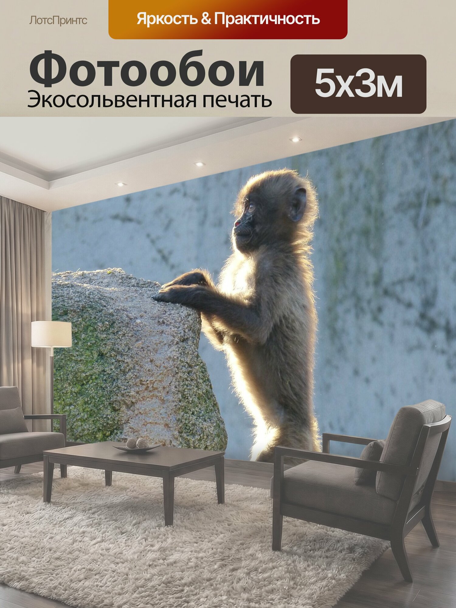 Фотообои "Обезьяна, dschelada, обезьяна baby" 500x300 см. экосольвентная печать
