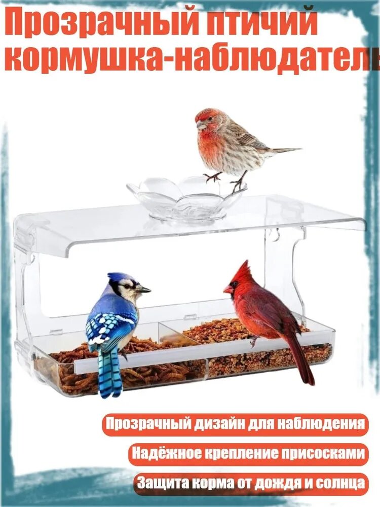 Прозрачный птичий кормушка-наблюдатель