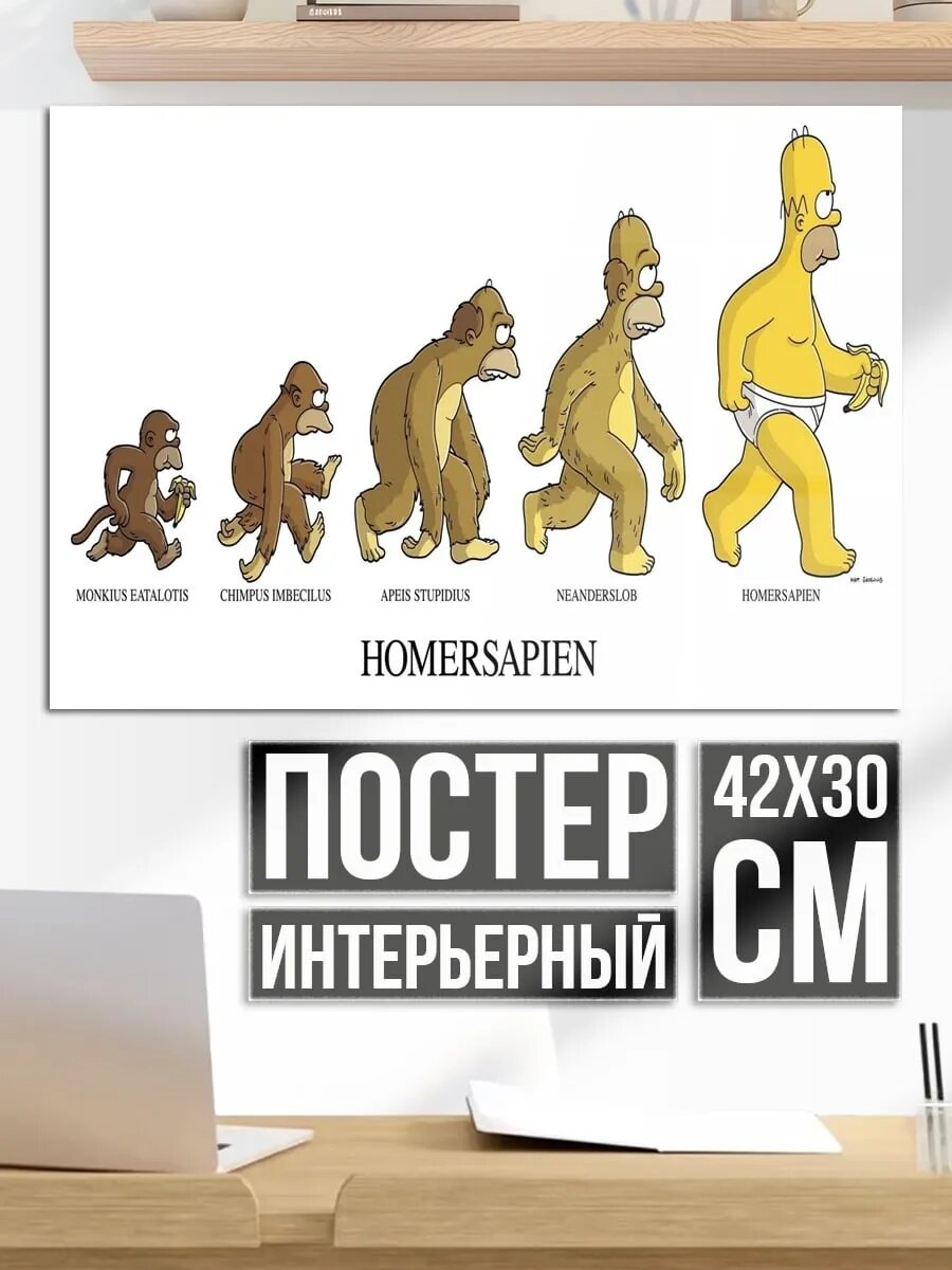 Плакат постер Эволюция Гомер Симпсон