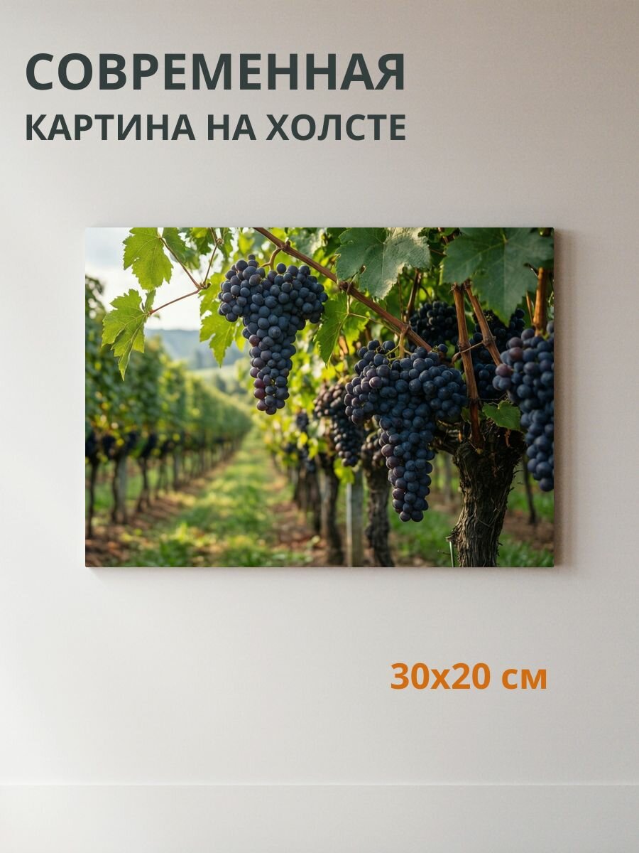 Картина на холсте Натюрморт с виноградом 30x20 см