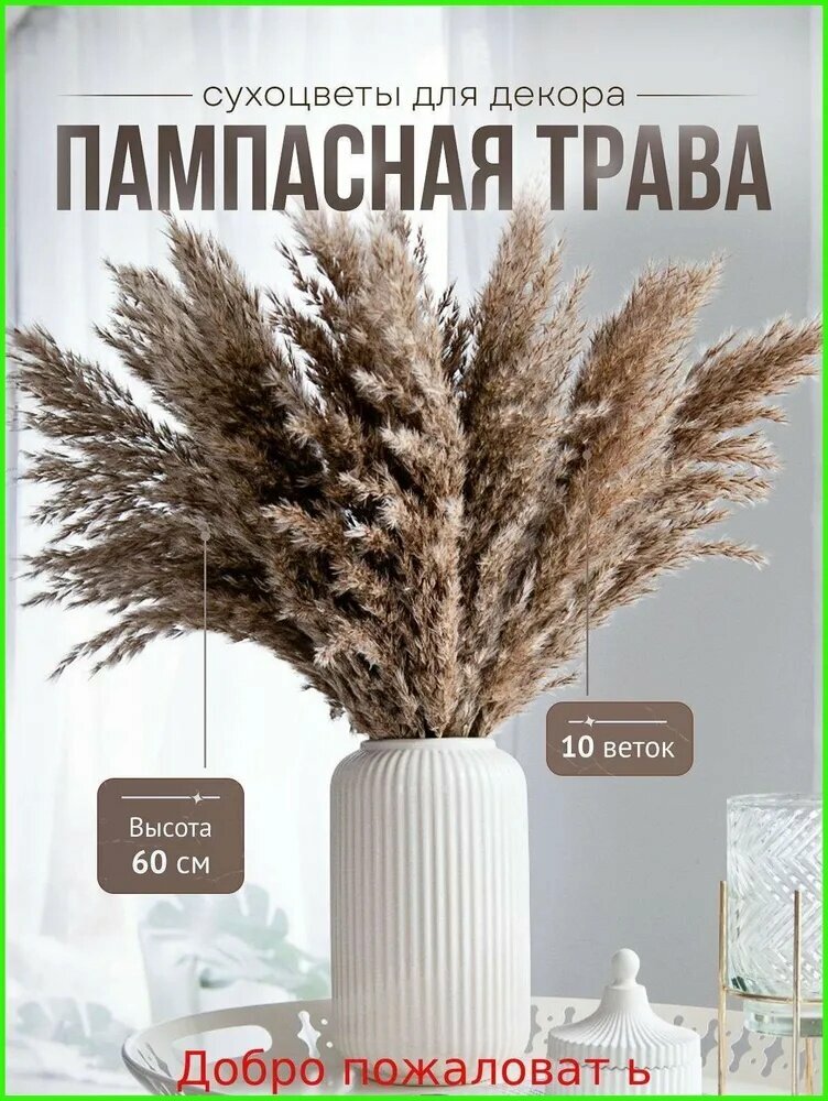 Сухоцветы Камыш, Пампасная трава, 60 см, 150 гр, 10 шт