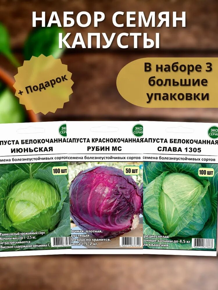 Семена капусты белокочанной краснокочанной ранней Слава Июньская Рубин
