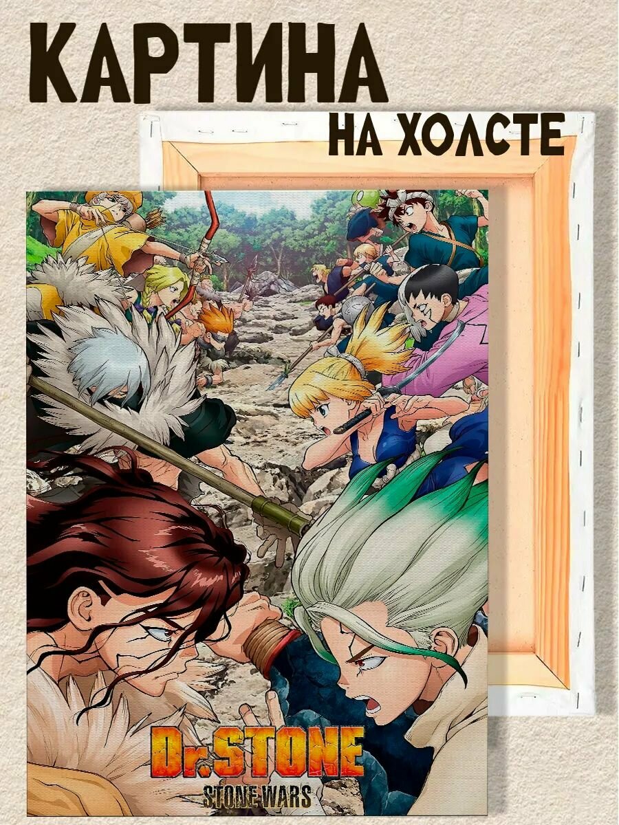 Картина на стену Доктор Стоун, на подрамнике, 1шт, 38х25 размер.