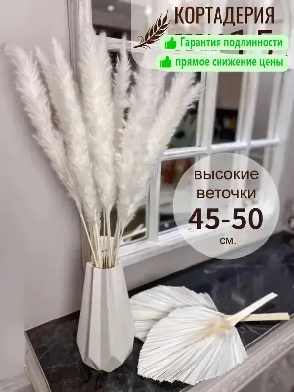Сухоцветы Камышовая трава, 50 см, 70 гр, 15 шт