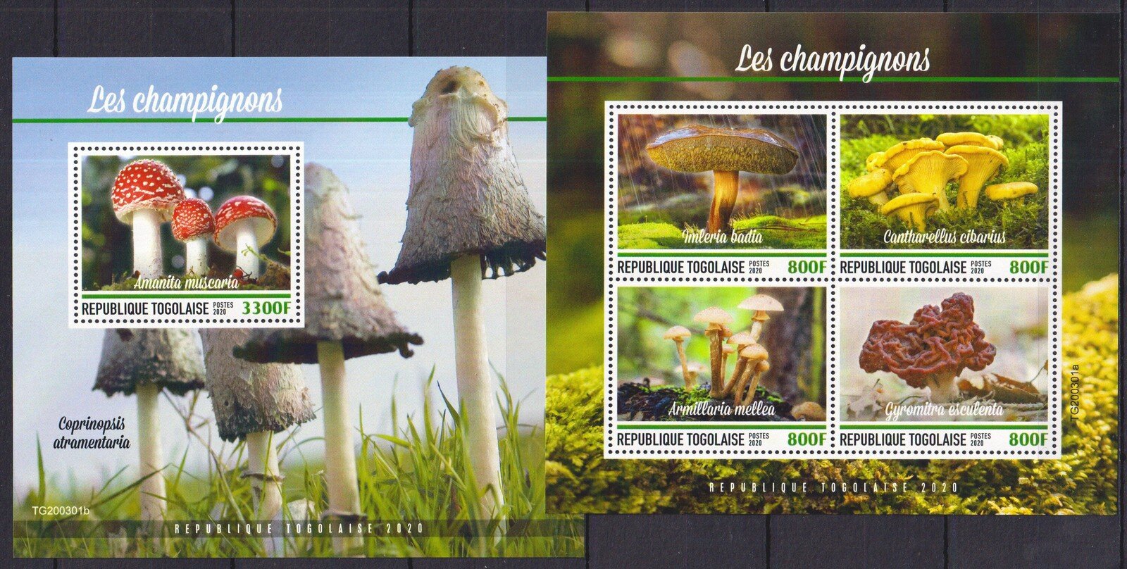 Марки 2020 год Того Грибы Флора Природа #8425-8428+Bl1957 Mnh