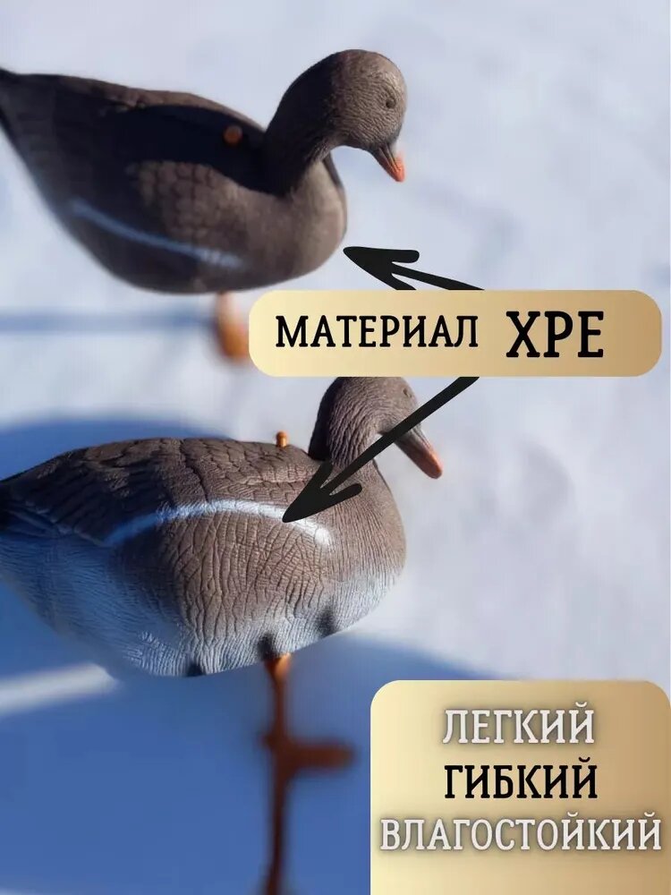Чучело гусей для охоты, набор 10 шт, изготовлено из стеклопластика и ПВХ, высота 50 см — фото 1