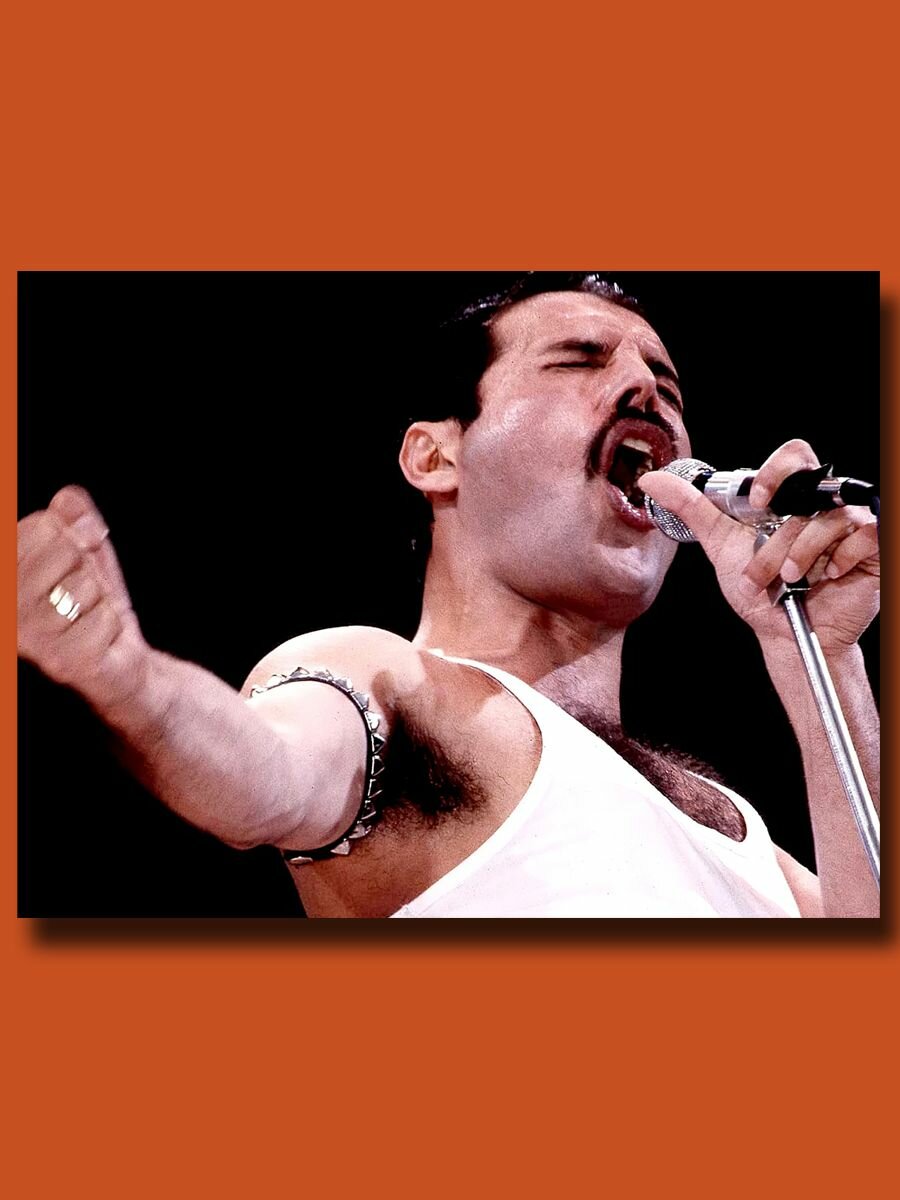 Постер Freddie Мercury - 30х40см, Плакат Фредди Меркьюри, группа Queen