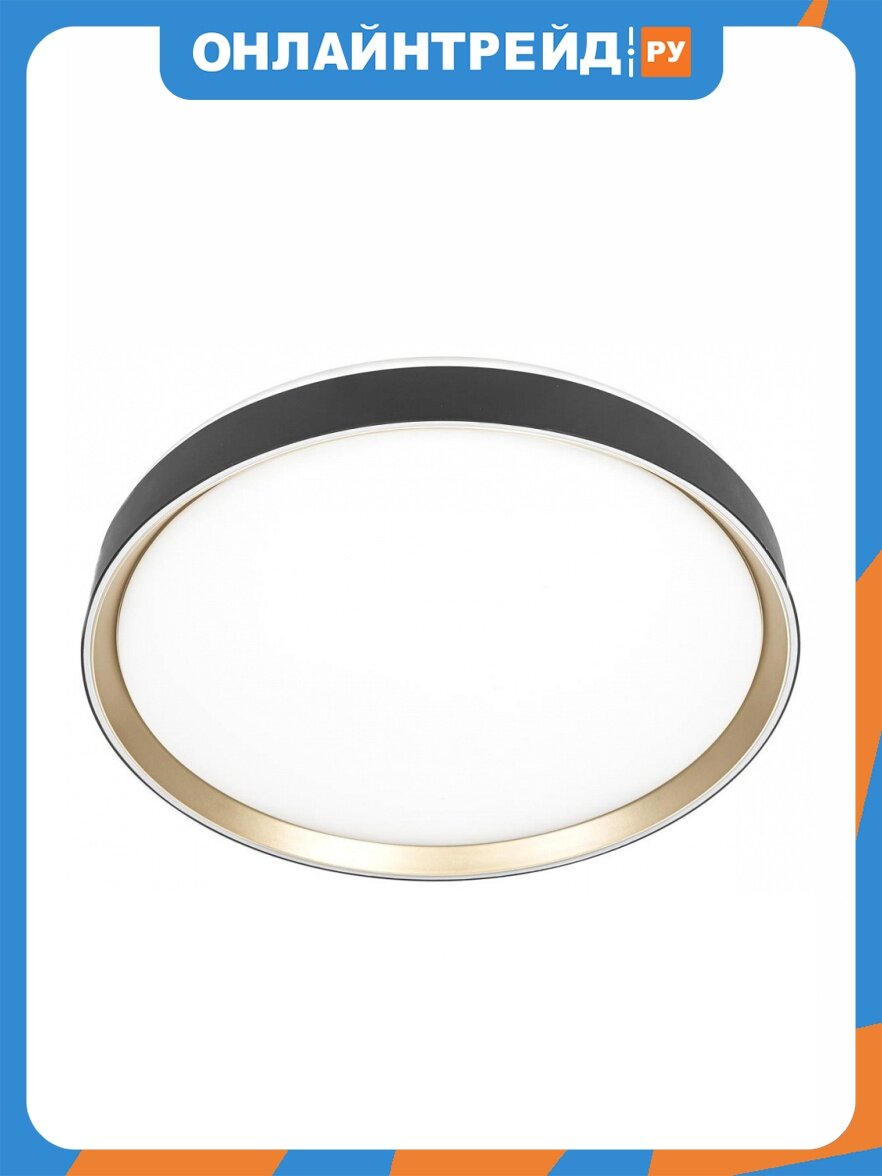 Накладной светильник Citilux BOSS CL751451G