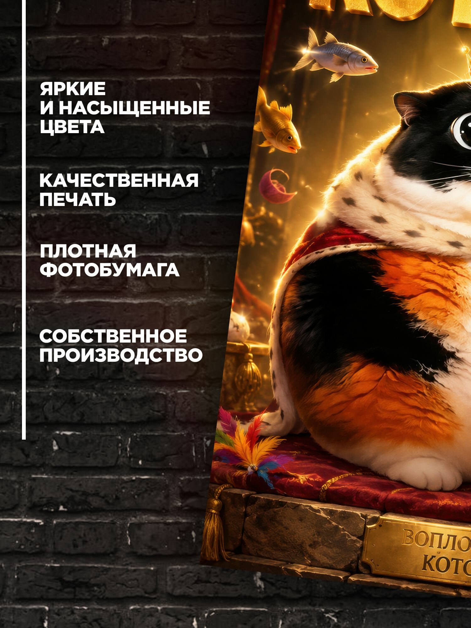 Постер на стену Котость мем — фото 1