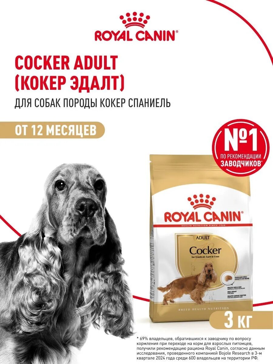 Сухой корм Royal Canin Cocker Adult для взрослых собак породы Кокер Спаниель от 12 месяцев, 3 кг