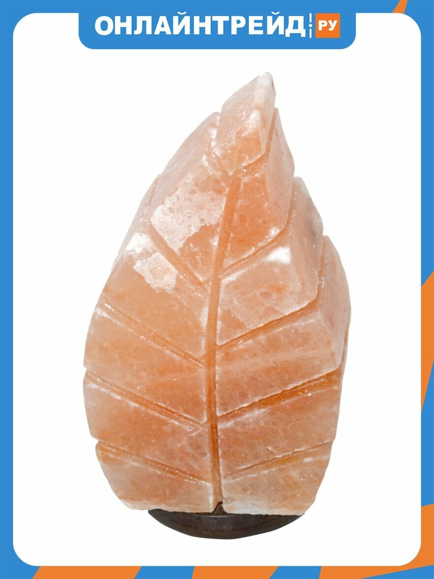 Солевая лампа Barry Ltd Barry Leaf