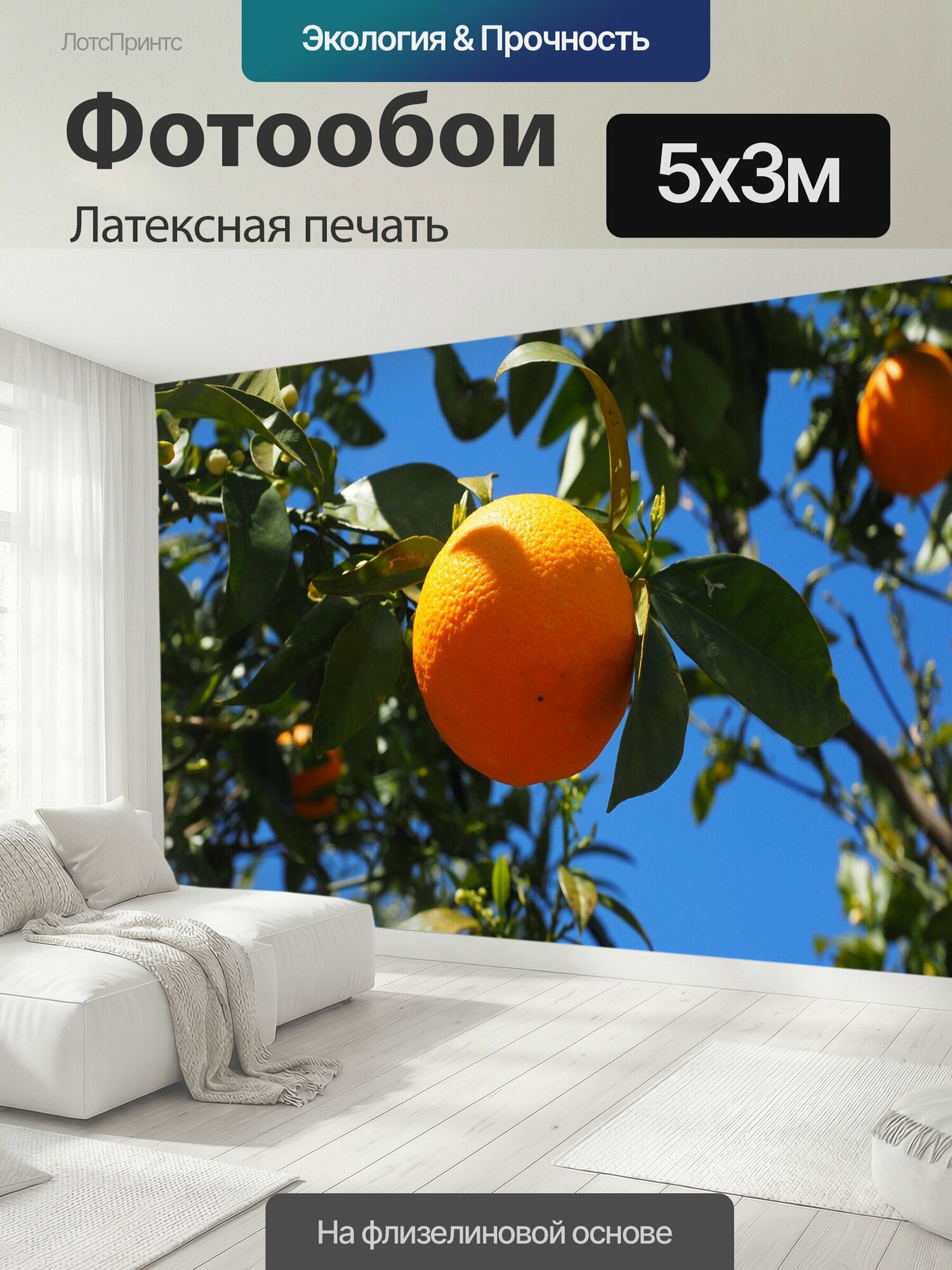 Фотообои моющиеся ударопрочные "Апельсин, фрукты, апельсиновое дерево" 500x300 см. латексная печать