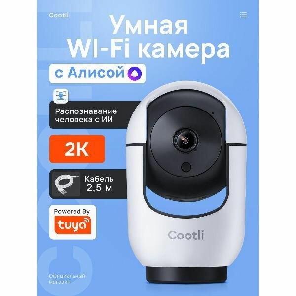 Камера видеонаблюдения Cootli wifi / с Алисой / домашняя