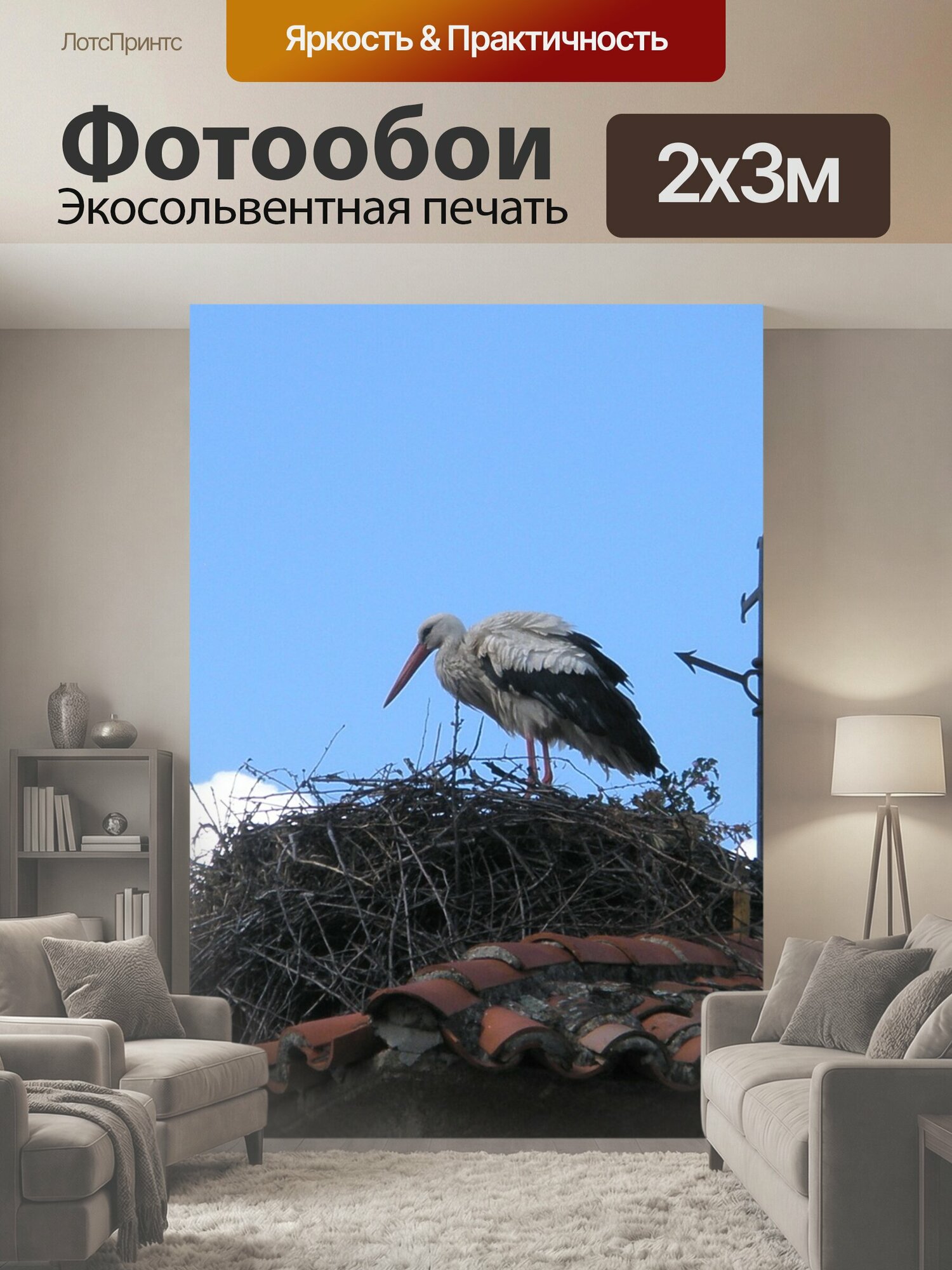 Фотообои "Аист, белый аист, птицы" 200x300 см. экосольвентная печать