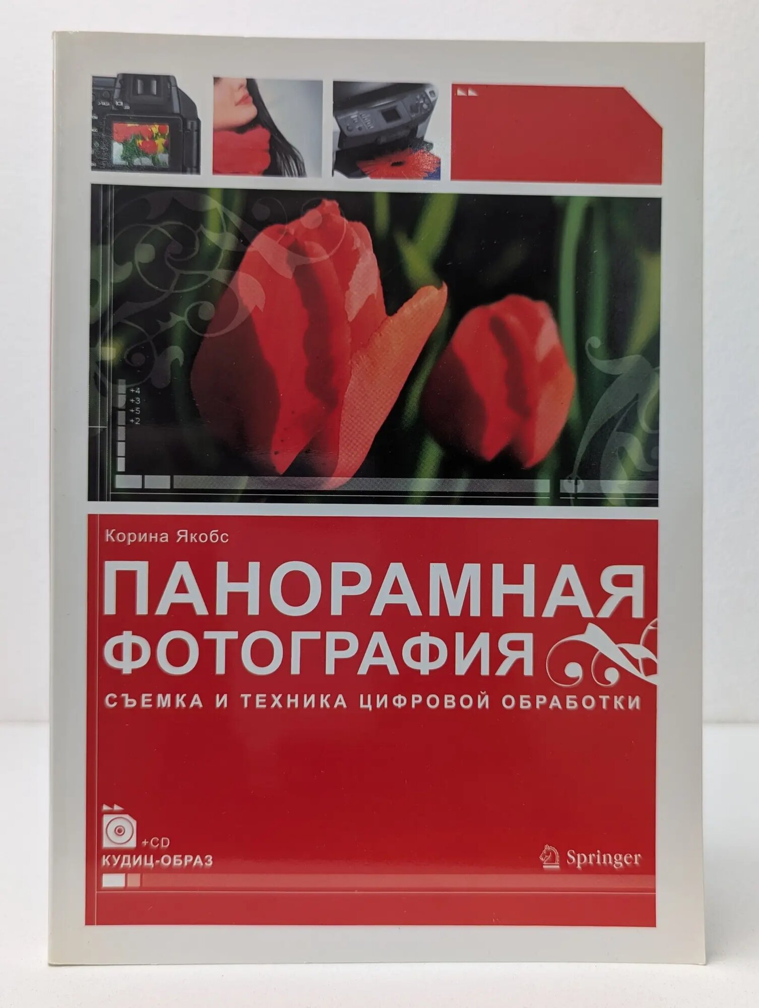 Панорамная фотография: съёмка и техника цифровой обработки Якобс Корина 2006