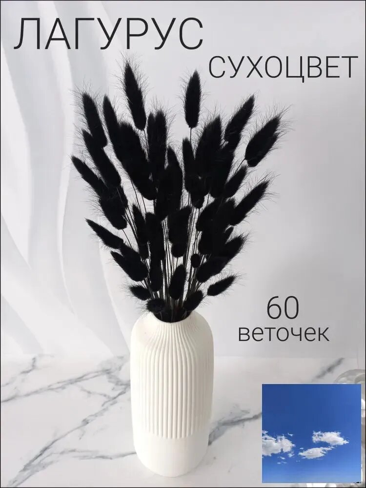Сухоцветы Лагурус, 55 см, 100 гр, 60 шт