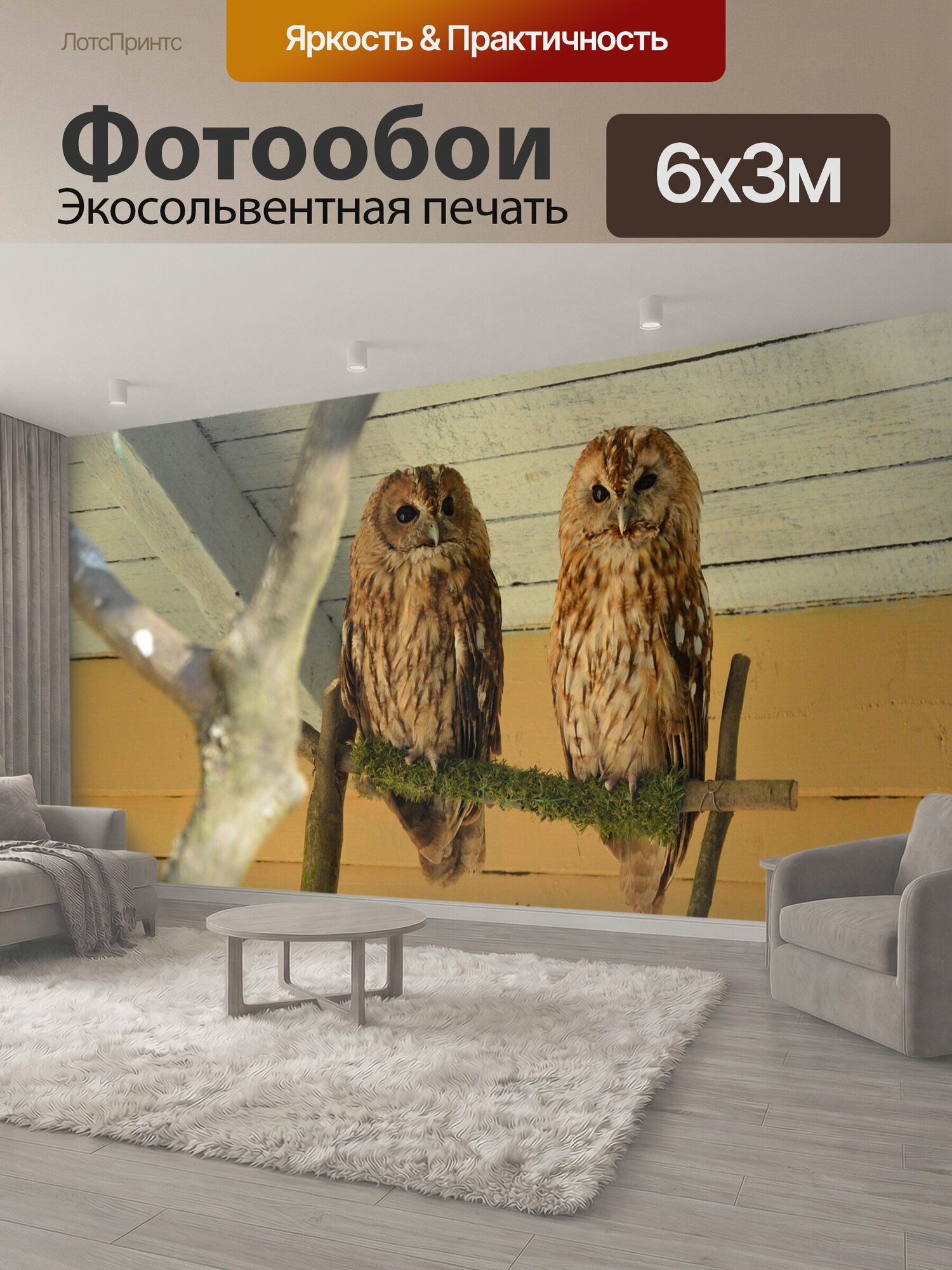 Фотообои "Сова, неясыть обыкновенная, совы" 600x300 см. экосольвентная печать