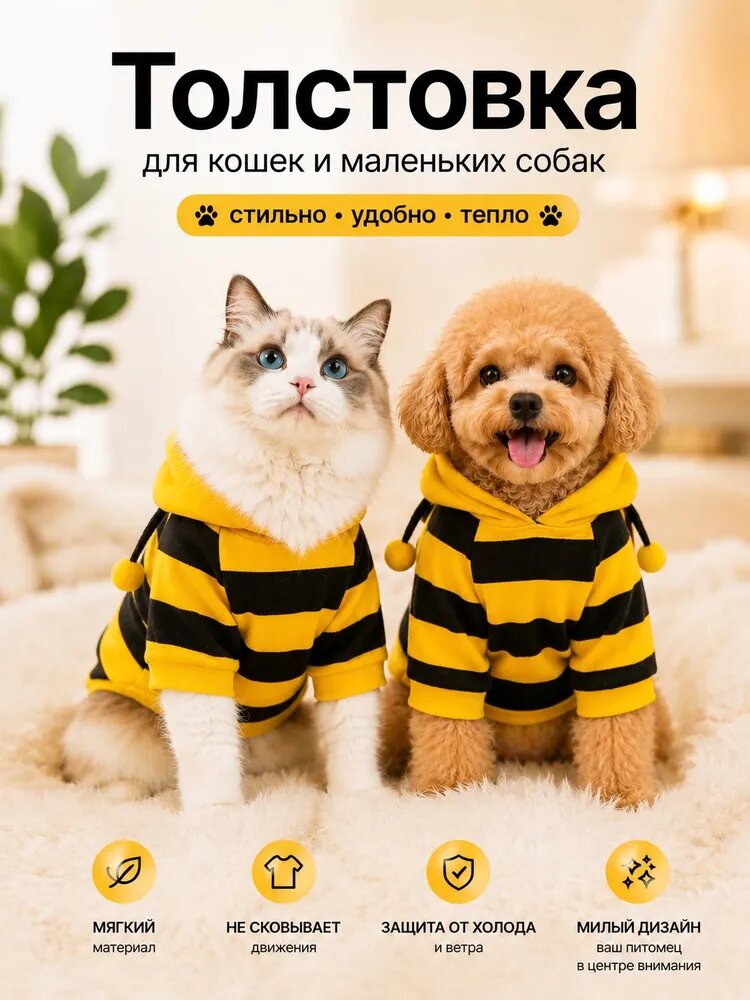 Одежда для животных