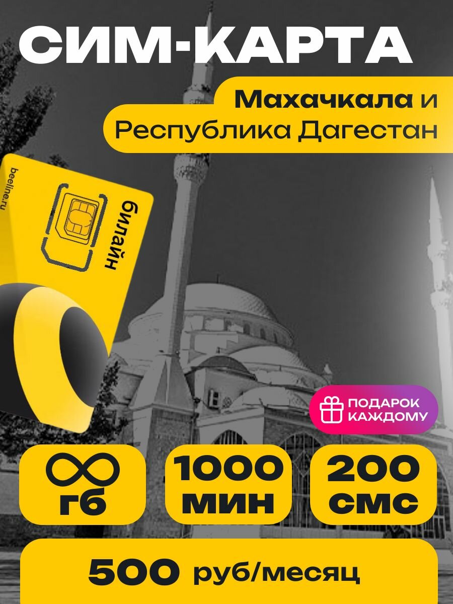 Сим-карта Билайн тариф Эксклюзивный Онлайн Республика Дагестан Безлимитный интернет и 1000 минут за 500 руб.