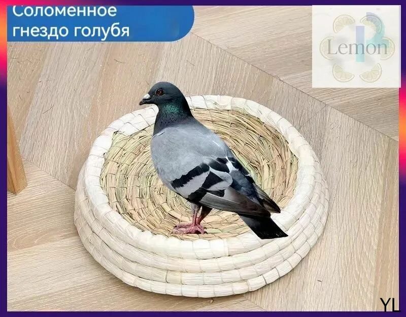 Голубиное гнездо