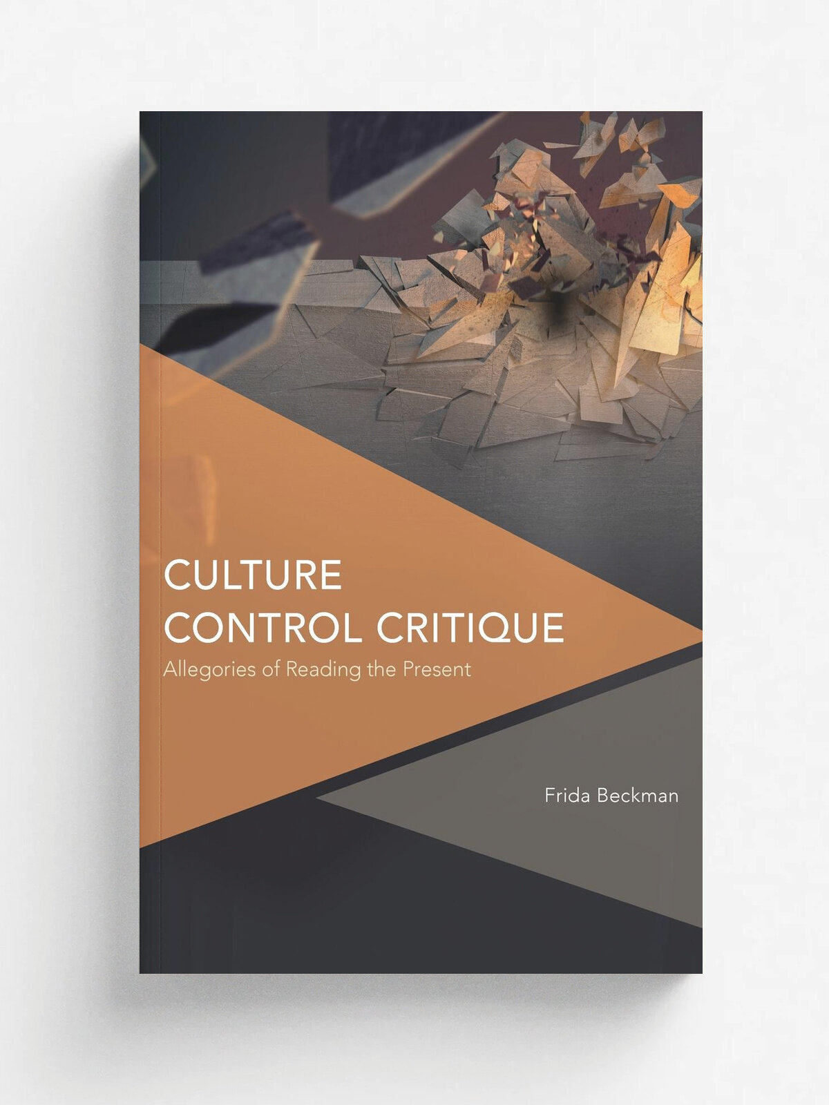 Culture Control Critique. Allegories of Reading the Present