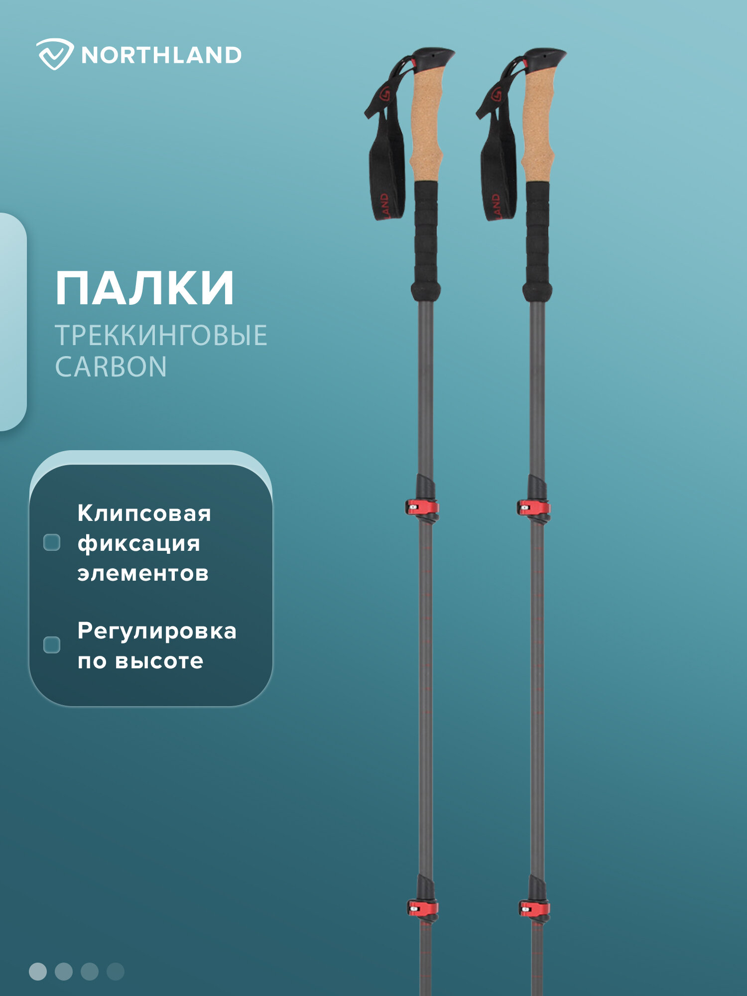 Палки треккинговые Northland Carbon