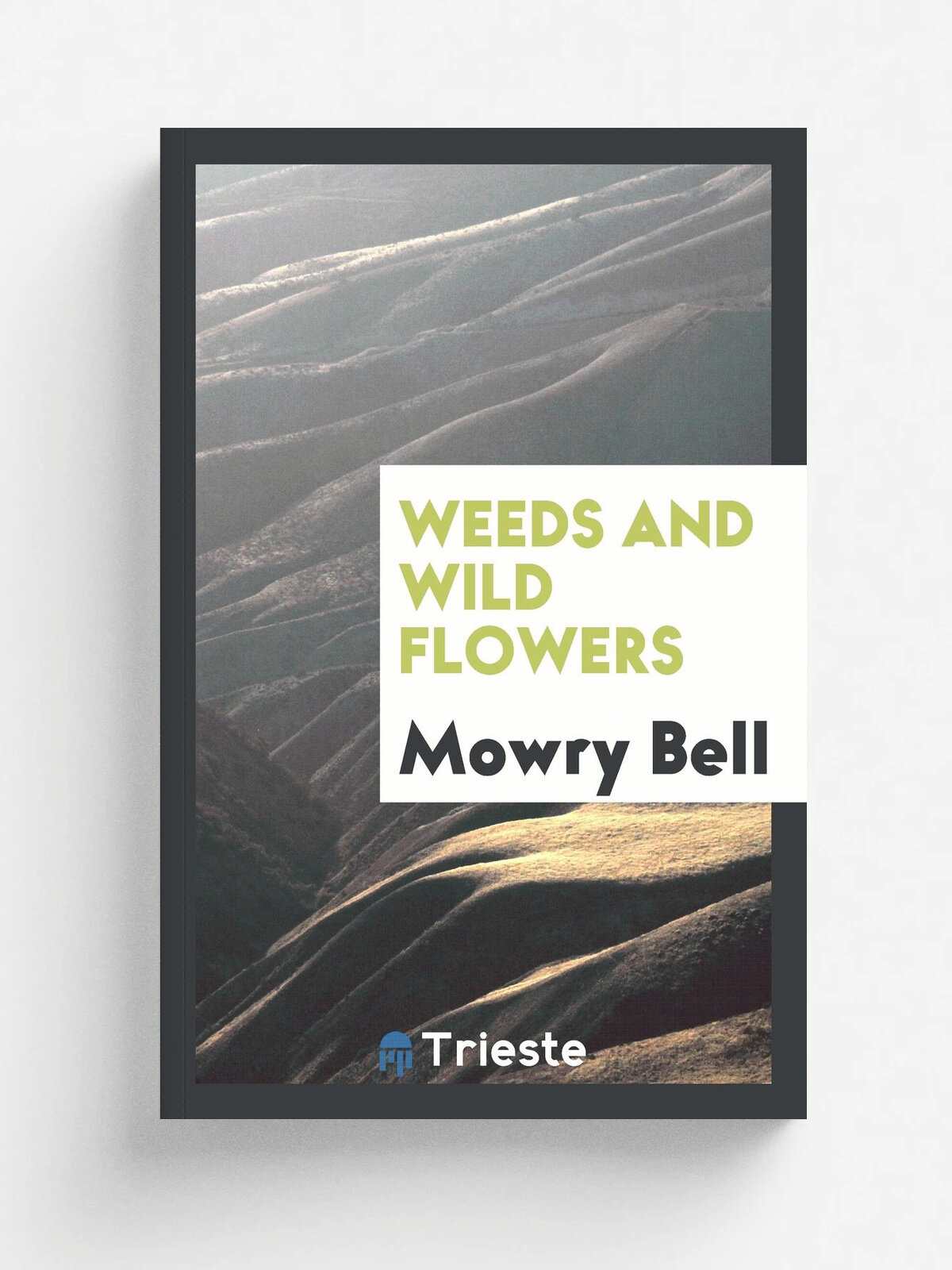 Weeds and Wild Flowers