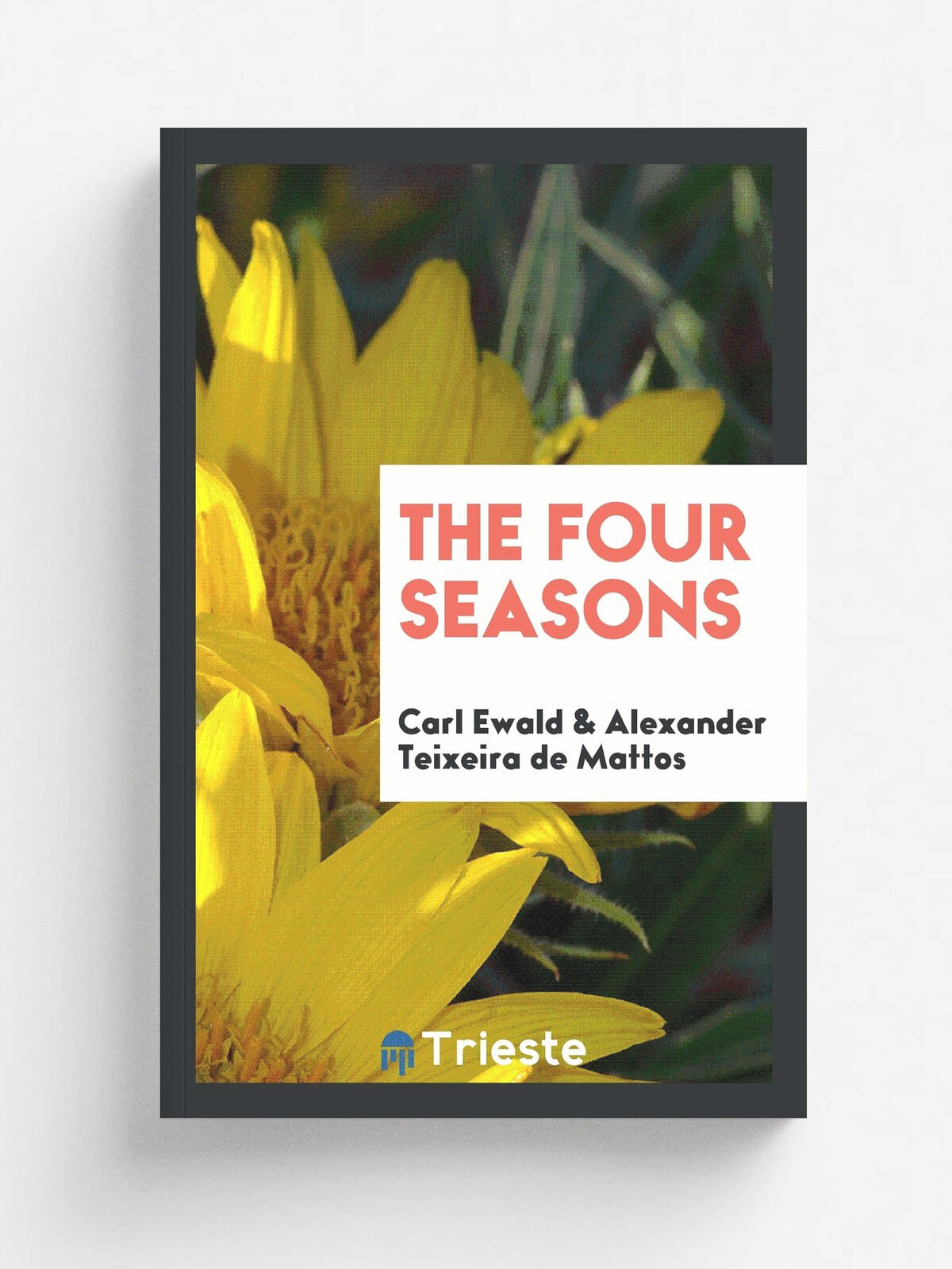 The four seasons